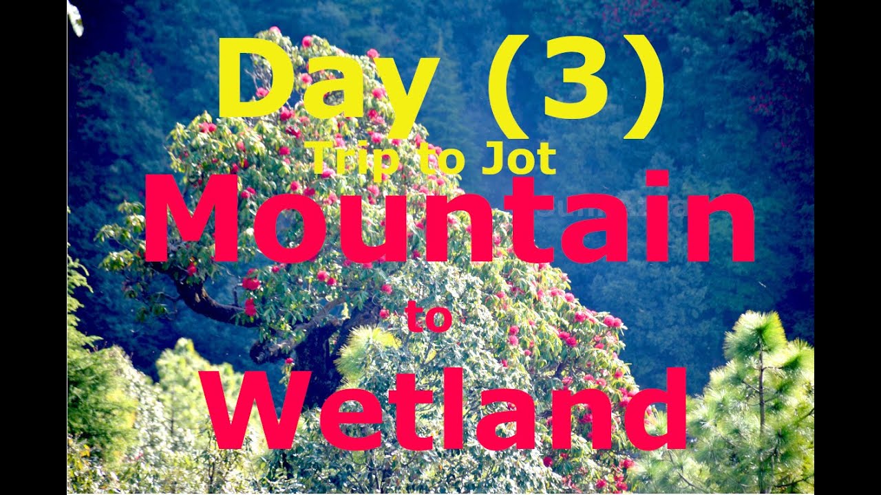 5. Day (3)...Buransh ke phool at Jot and Bathu Ki Ladi Pong Dam Lake ...