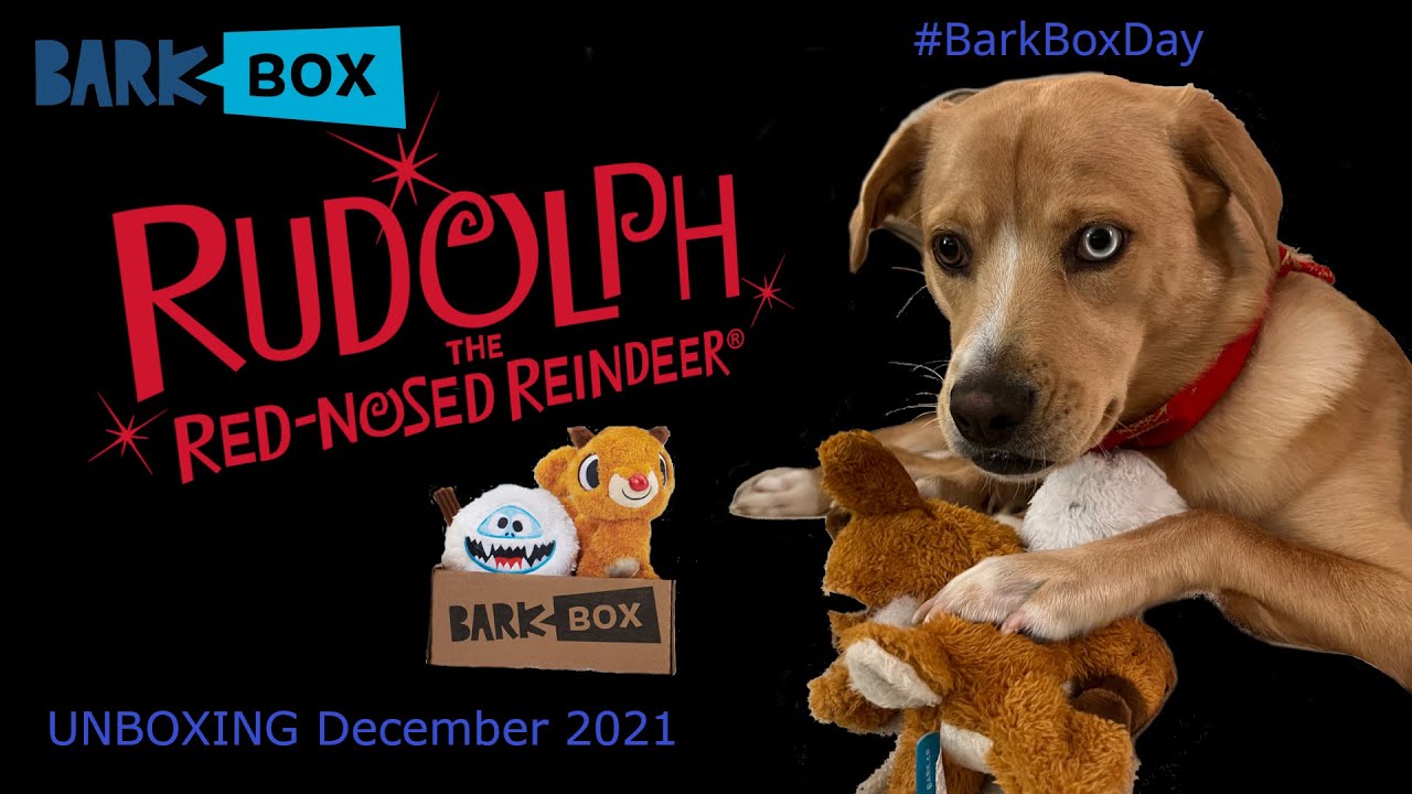 #BarkBoxDay December 2021 Rudolph #Toys Bark Box subscription - YouTube