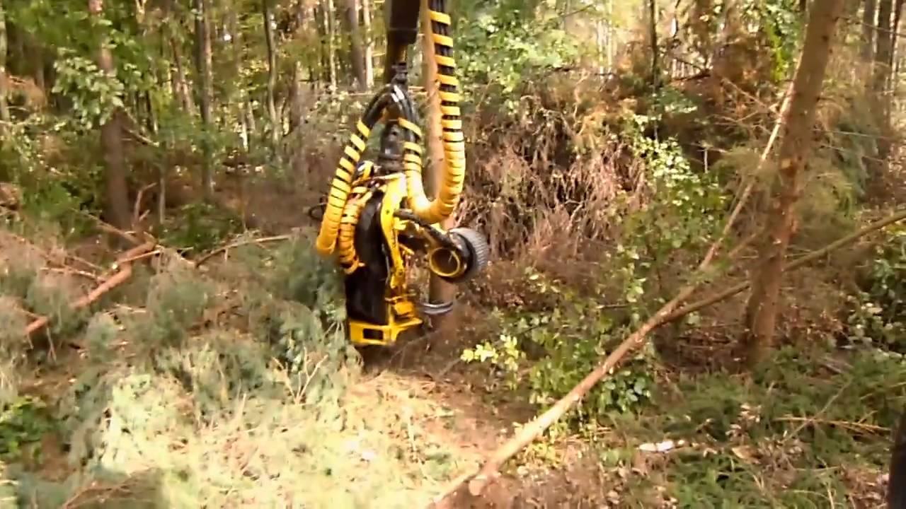 Timberjack harvester 1270B Viharkár I. - YouTube