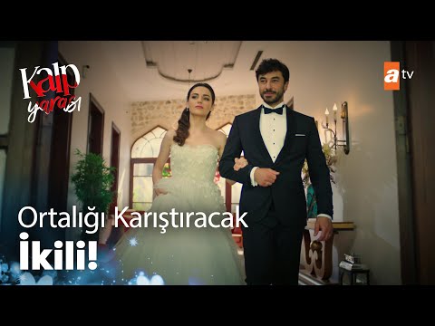 Ayşe ve Ferit muhteşem bir ekip oldu! - Kalp Yarası 1. Bölüm