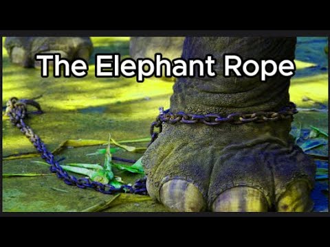 The Elephant Rope - YouTube