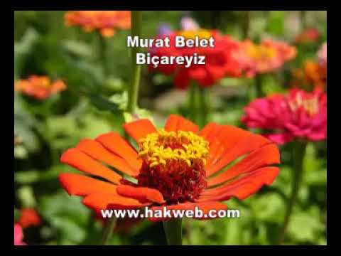 #muratbelet Bicareyiz #engüzelilahiler  #ilahiler  #newreels #keşfetbeniöneçıkar #like #share #beğen