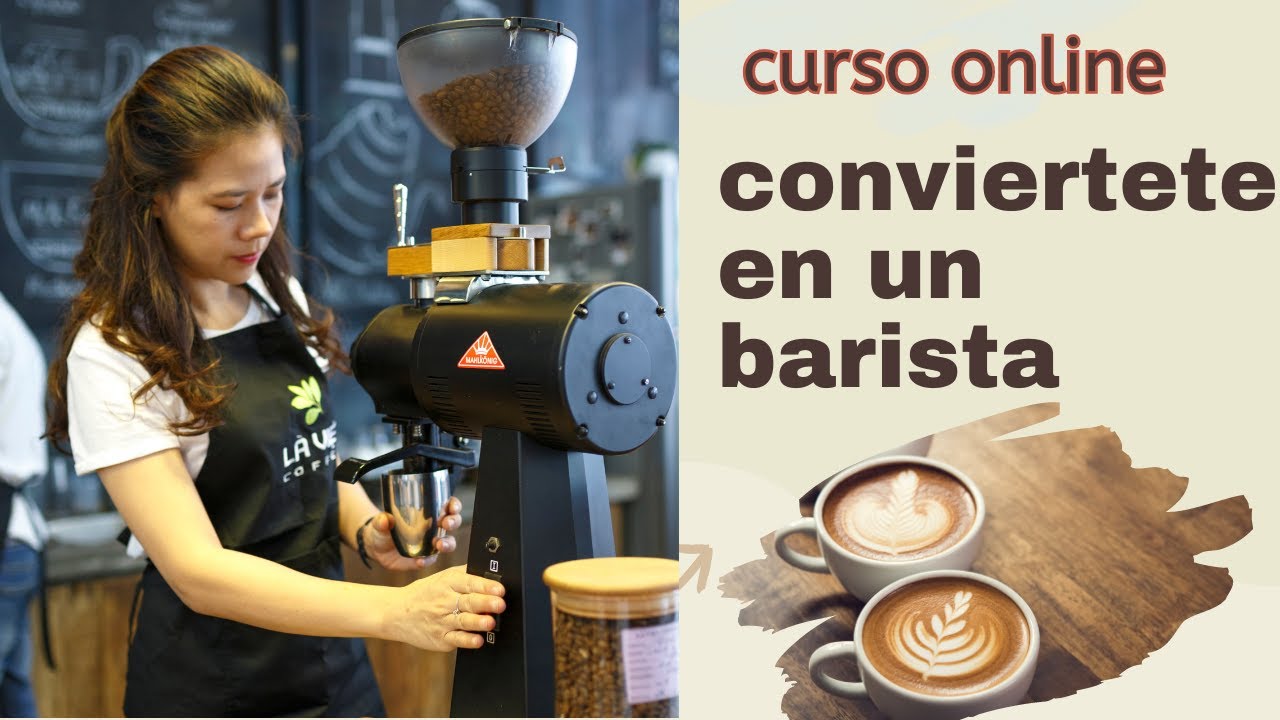 CURSO de BARISTA TRAINING online 2023☕👨‍🍳🔥 - YouTube