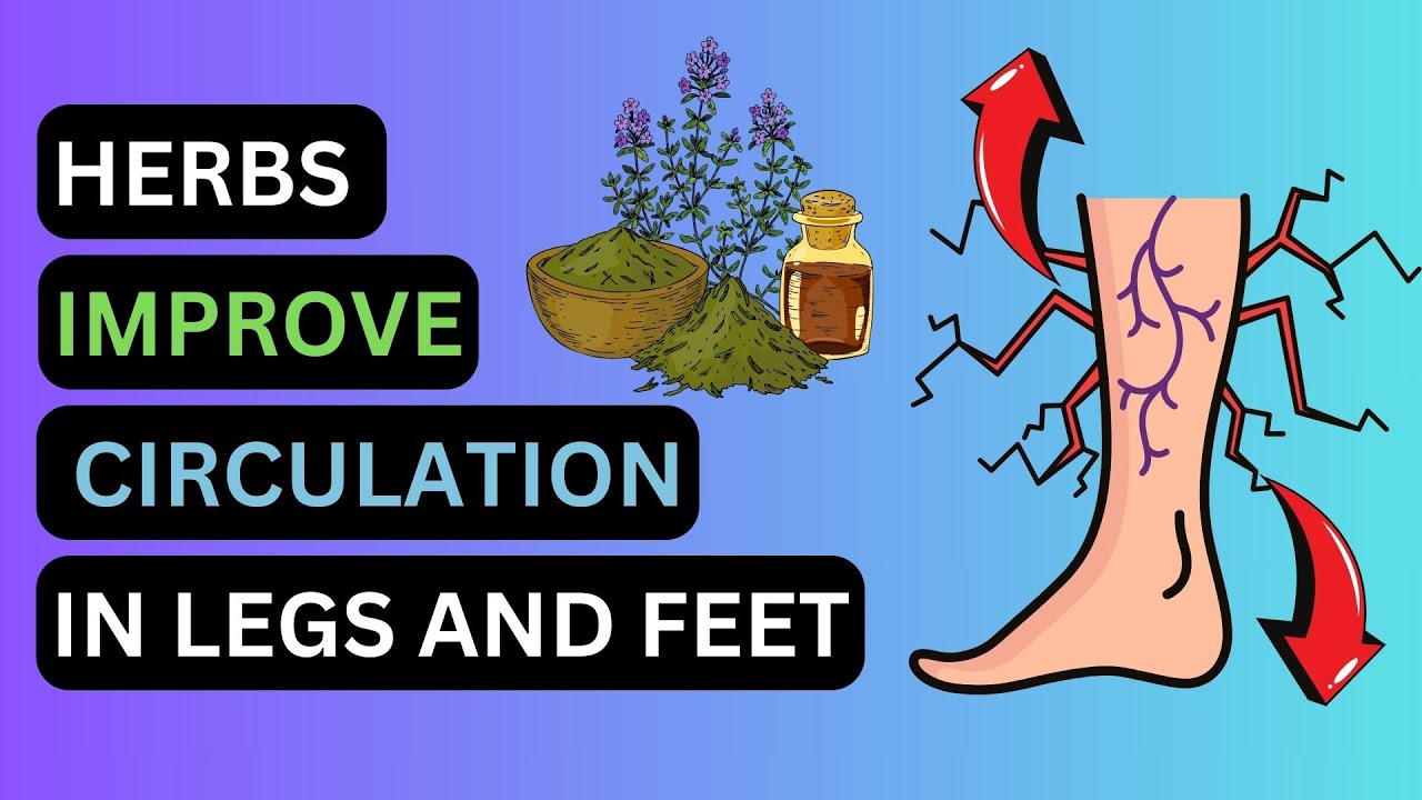 7 Miracle Herbs to Instantly Boost Leg Circulation and Revitalize Your ...