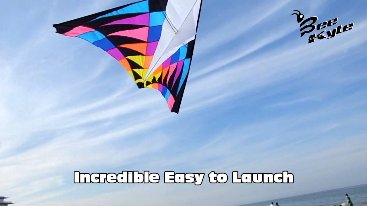 Bee Kite Thunder - Delta Single Line Kite 470 x 245 cm - YouTube