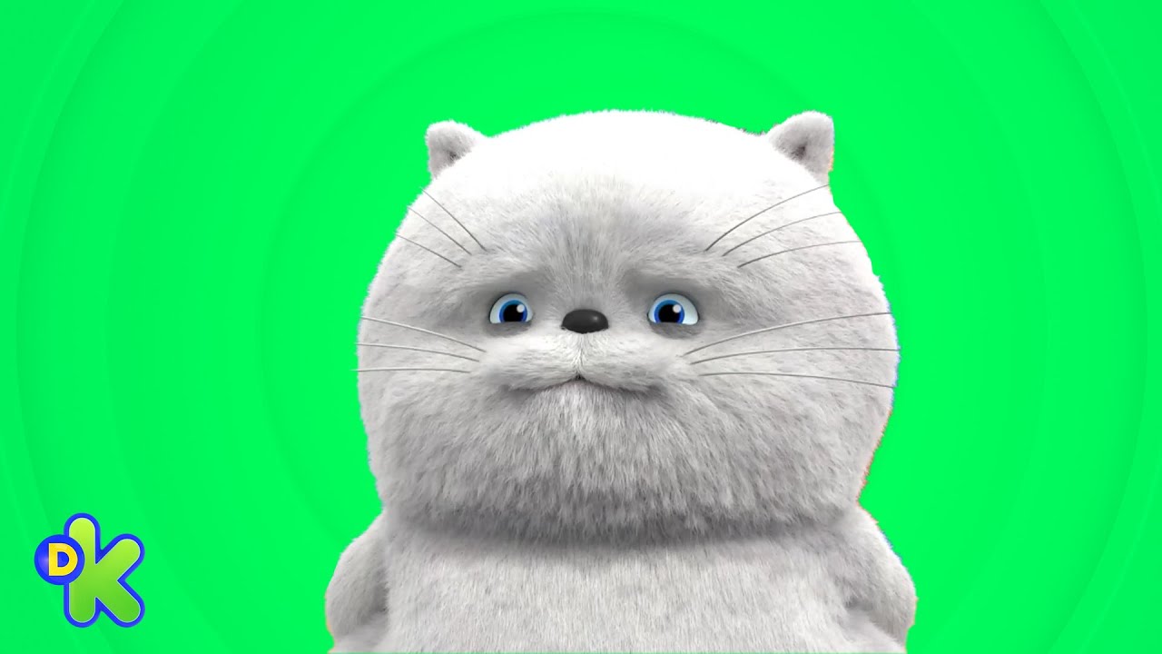 Os melhores momentos do Sargento Fluffy | Agente Binky Ao Resgate ...