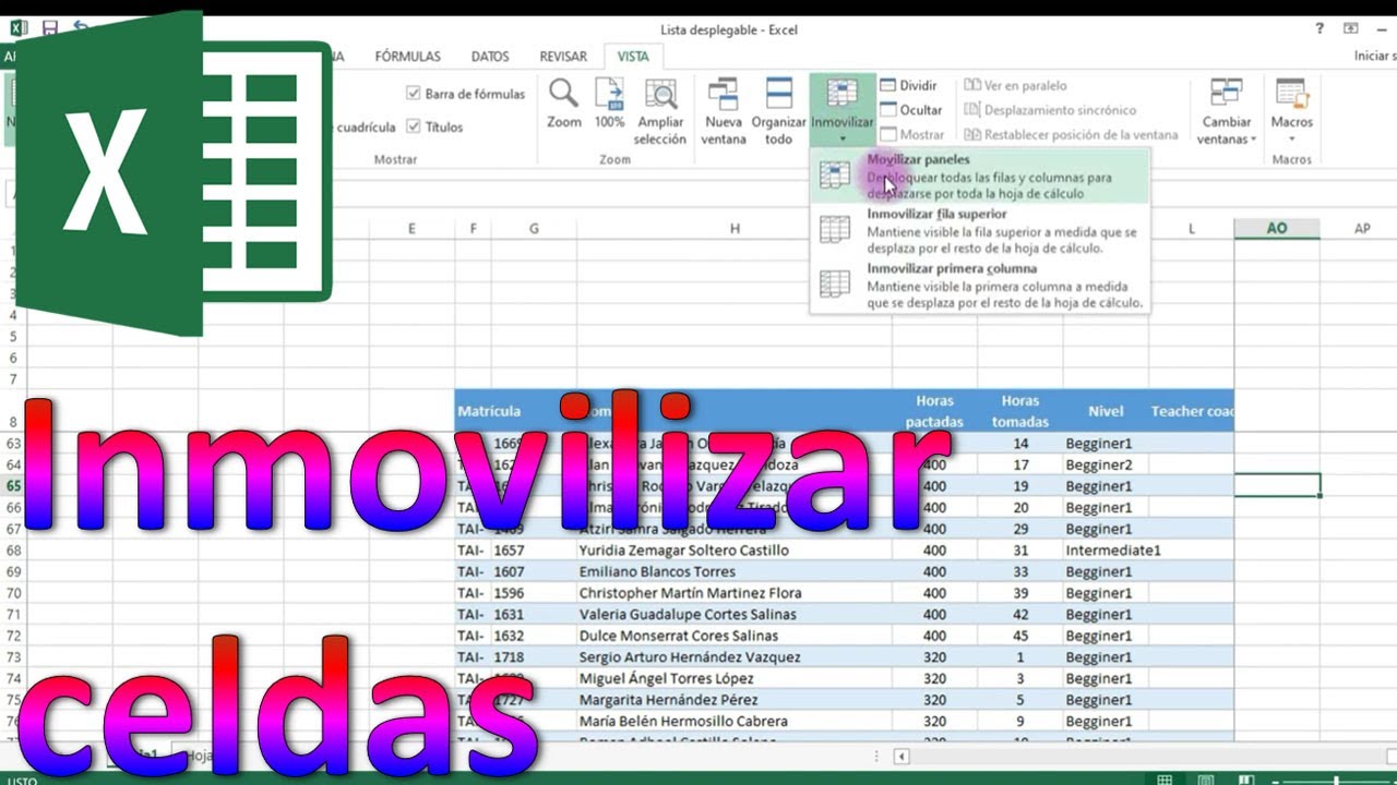 Cómo inmovilizar/fijar celdas en hojas de Excel - YouTube