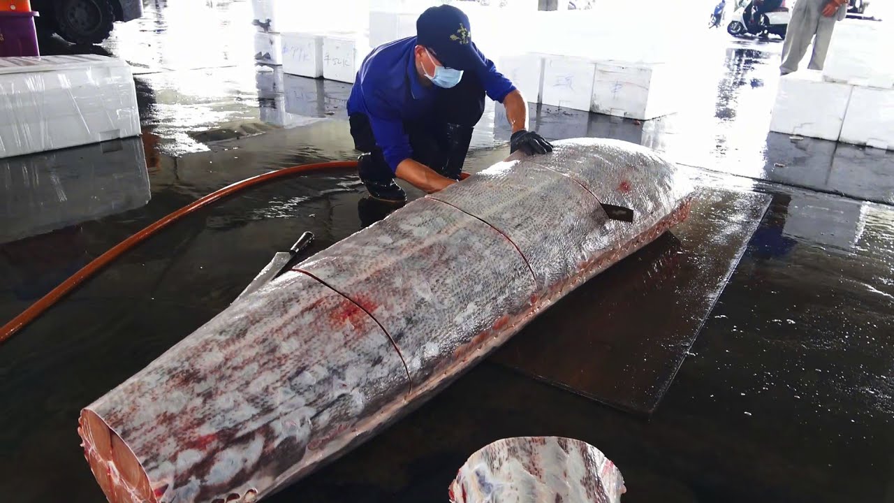 Unbelievable Giant Marlin & Bluefin Tuna Sashimi: The Ultimate Cutting ...