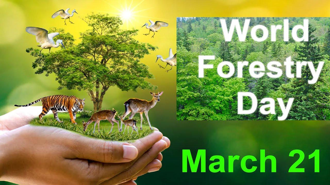 WORLD FORESTRY DAY | MARCH 21 INTERNATIONAL DAY OF FORESTS | PROTECT ...
