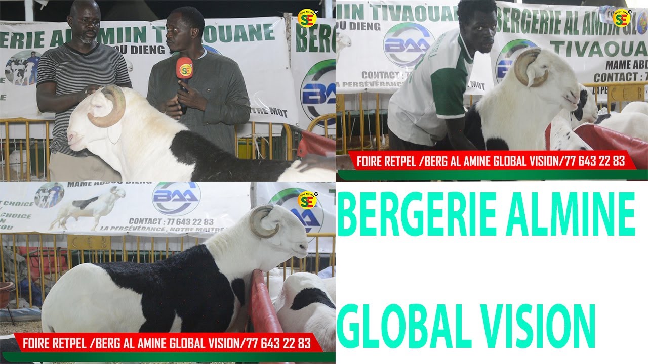 FOIRE DE L'ELEVAGE DU RETPEL / BERGERIE AL AMINE GLOBAL VISION DE MAME ABDOU DIENG - YouTube