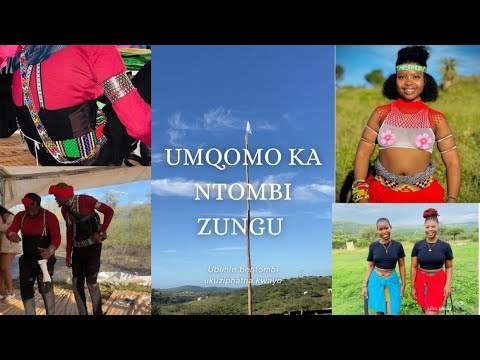 Umqomo kaNtombi Zungu🥹 ️|| Amalobolo kamaZungu🛖|| Ingoma yaseMpangeni🤭 ...