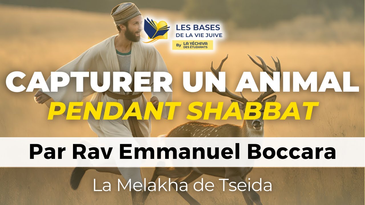 Capturer un animal pendant Shabbat - La Melakha de Tseida - YouTube