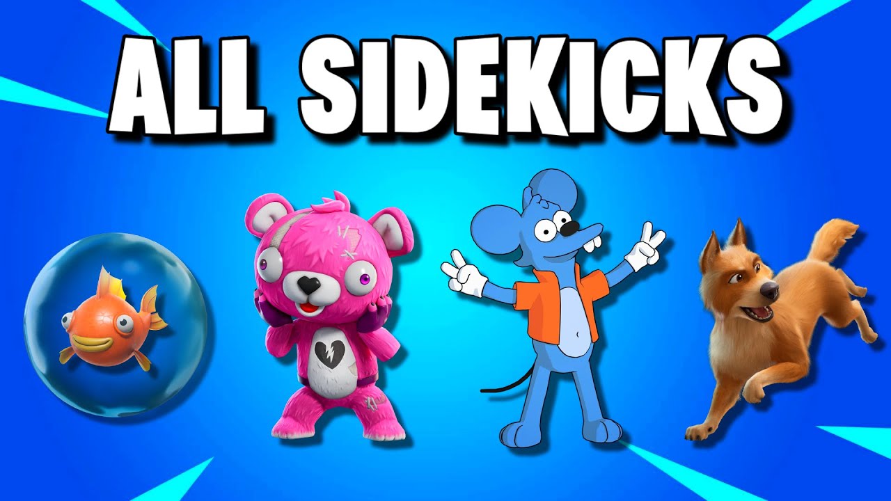 ALL Sidekicks in Fortnite! (All Pets Edit Styles & Emotes) - YouTube