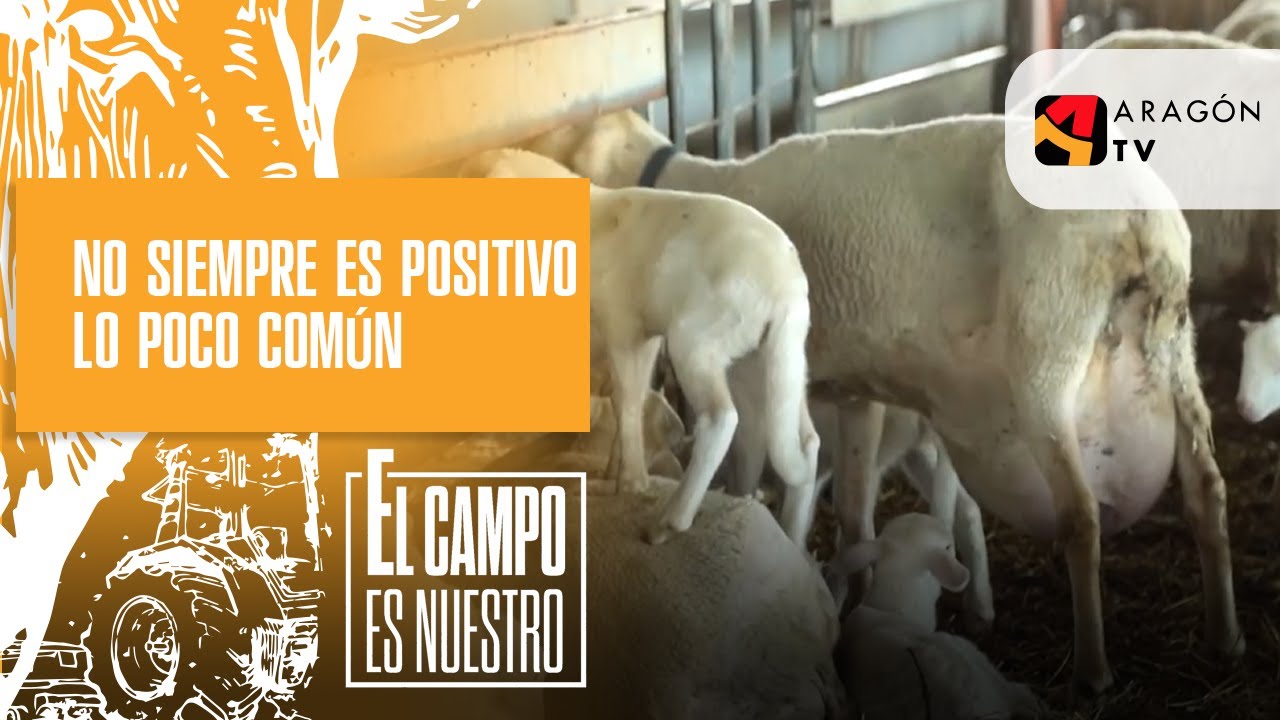 No siempre lo poco común es positivo - YouTube
