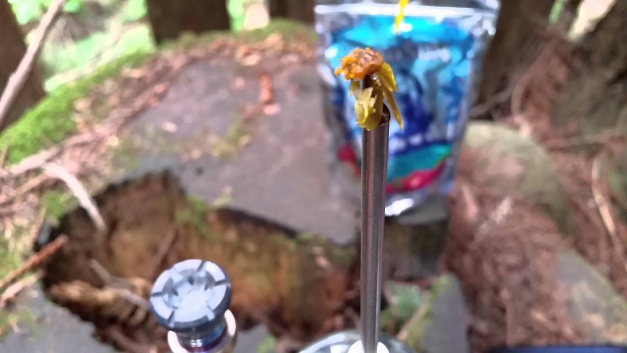 Another forest smoke sesh part 1 - YouTube