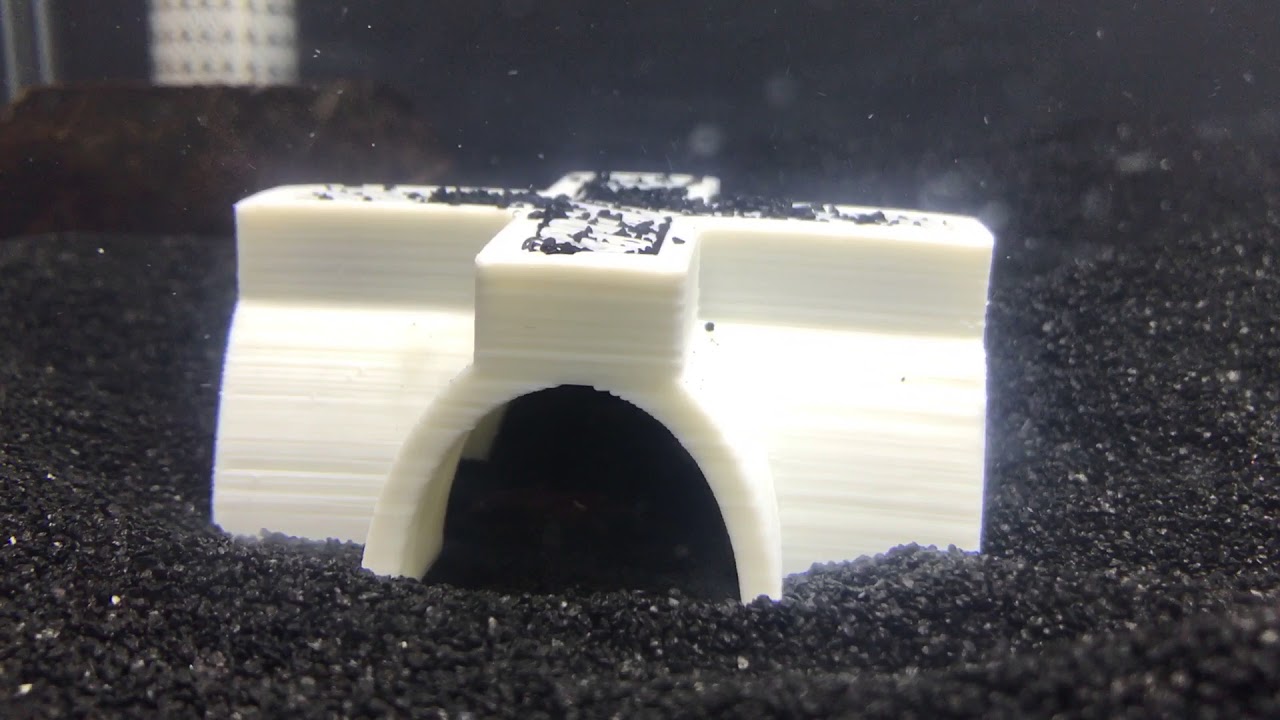3d printed cave for cherry dwarf shrimps fish tank - YouTube