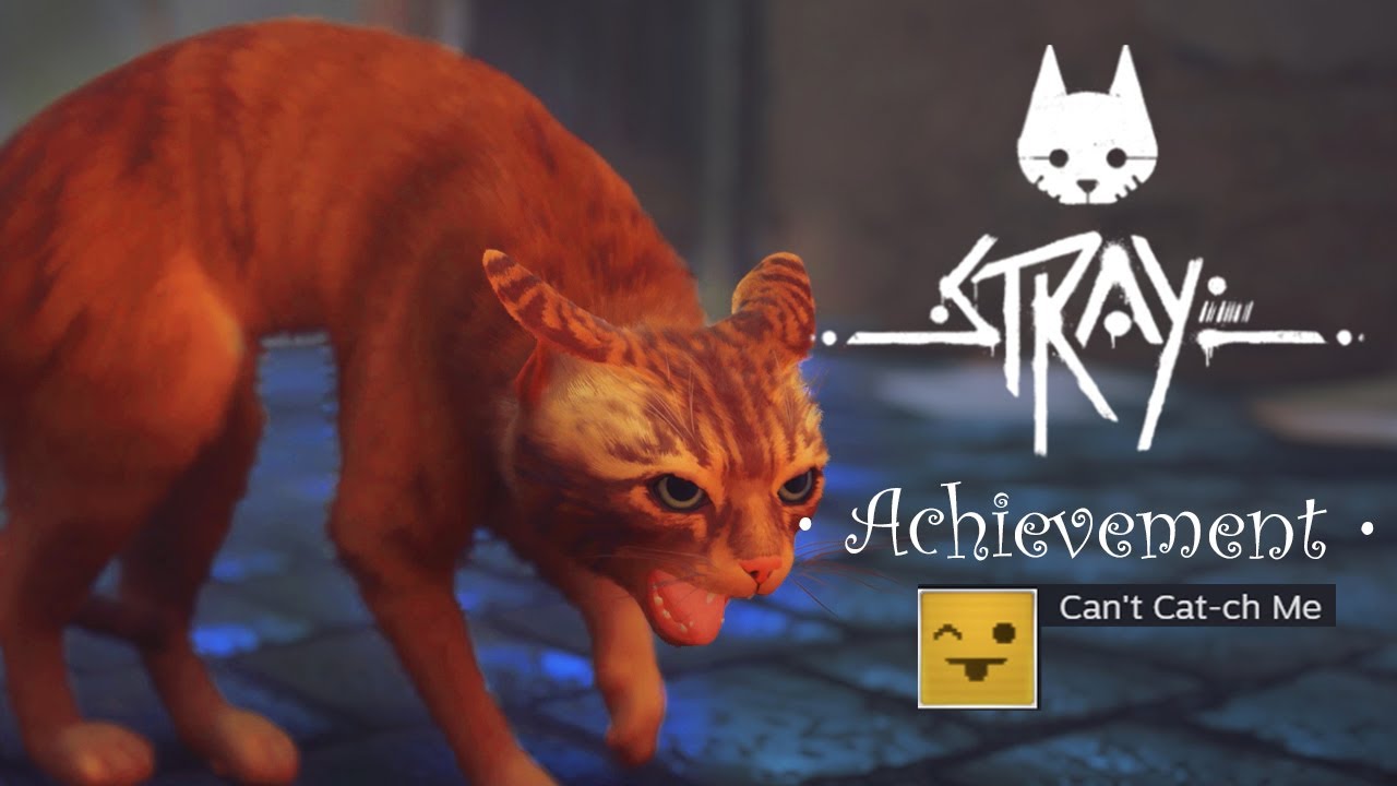 STRAY | Can't Cat-ch Me | Achievement Guide [4k | 60fps] - YouTube