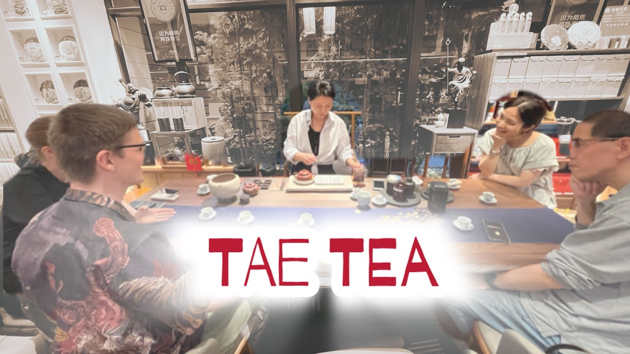 I Drank $1000 Tea (TAETEA Old Tea Tasting) - YouTube