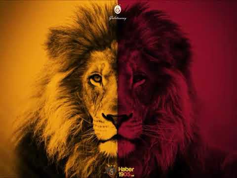GALATASARAY ICIN Deli layk