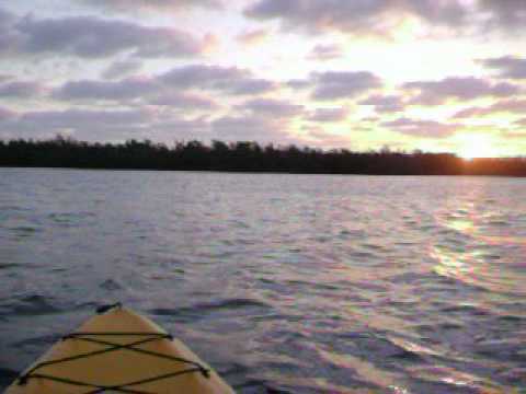 Munyon Island, Palm Beach County, FL - YouTube