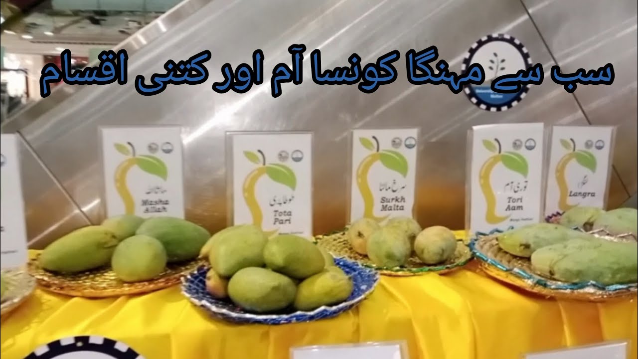 Types of mangoes in Pakistan🇵🇰 - YouTube