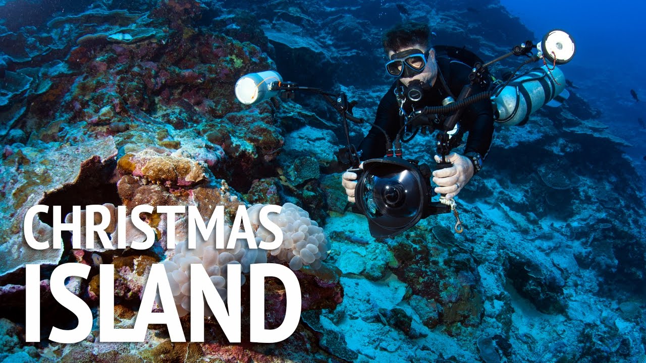Christmas Island Cave Diving Expedition in Search of Extreme Life Forms ...