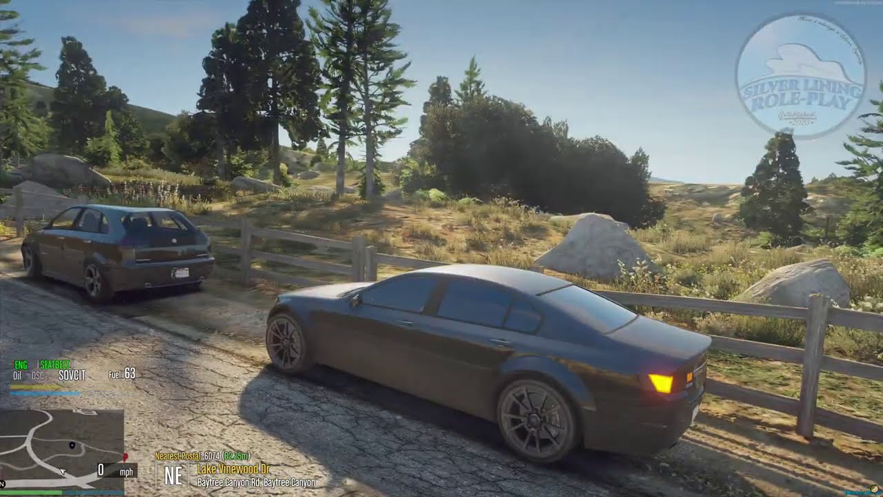 Silver Lining RP #13 Sovereign Citizen in a traffic accident #GTAV # ...