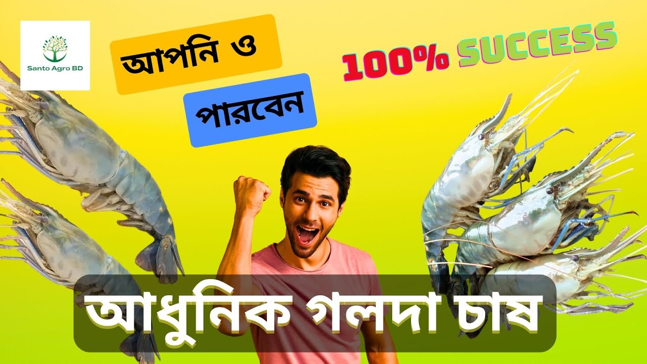 Galda Chingri Fish Farming | Prawn Farming | Learn The Secrets Method ...