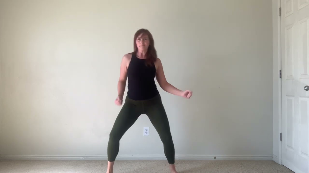 Jump in the Line Shake Shake Shake Senora Zumba Dance Fitness - YouTube