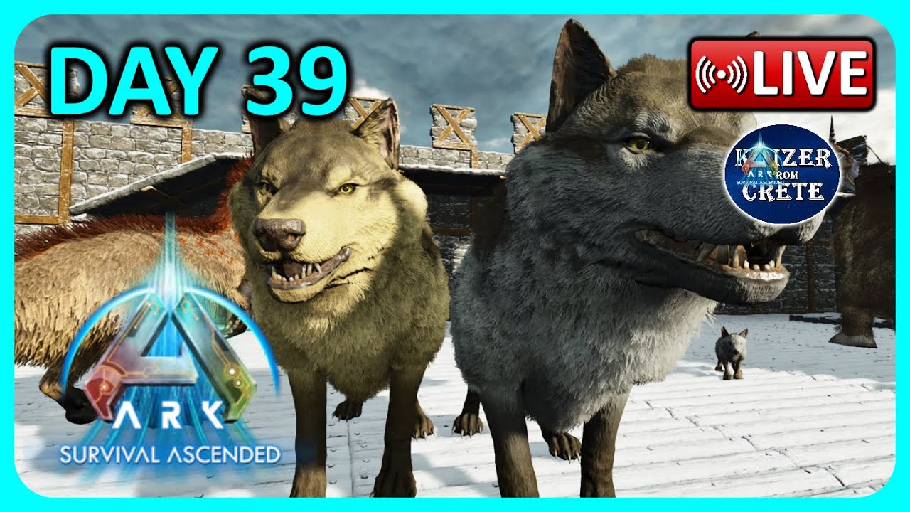 Direwolf Breeding for caves on ARK Ascended Day 39 with GeForceNow ...