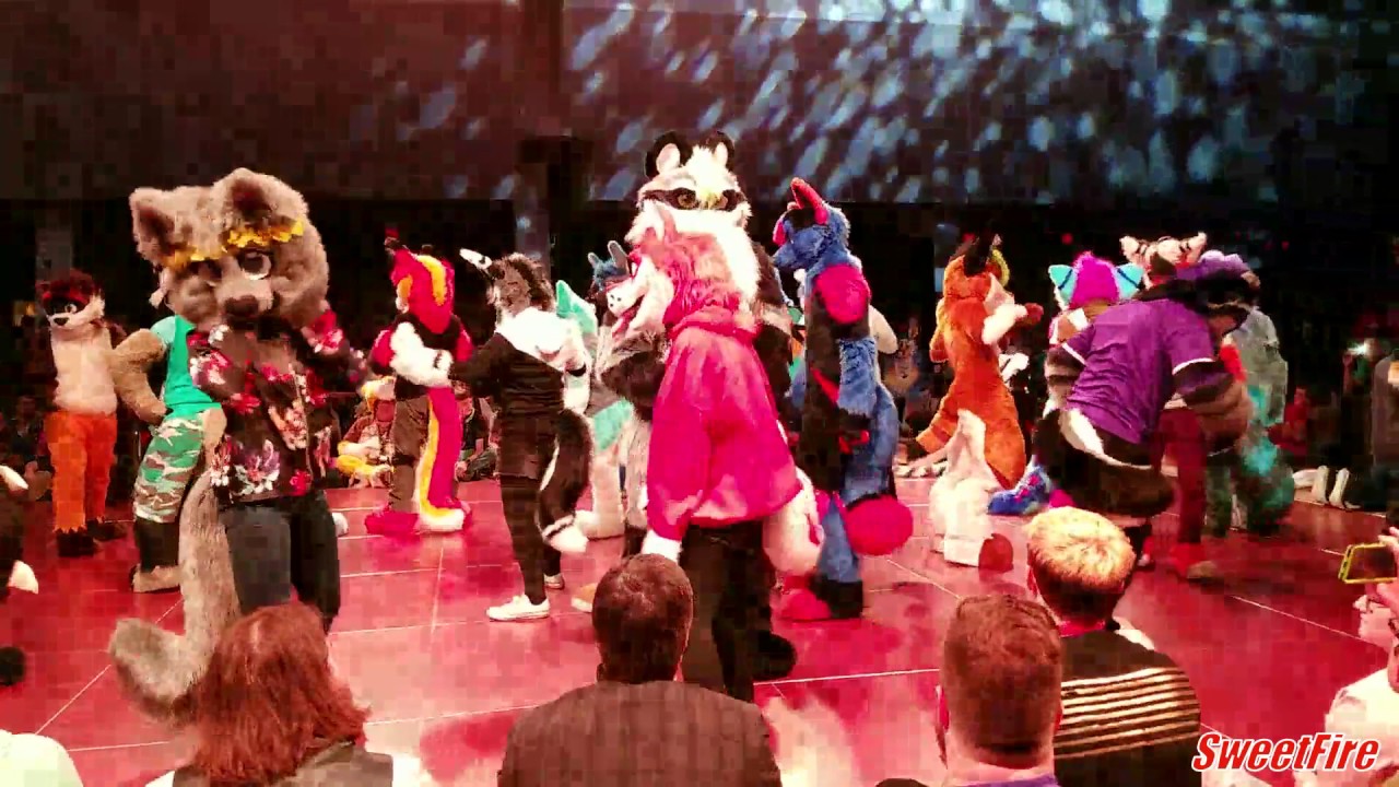 FWA 2017 Fursuit Dance Competition: All Competitors Dance - YouTube