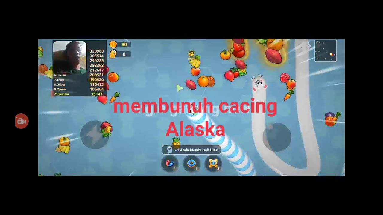 membunuh cacing Alaska : wormszoneio - YouTube