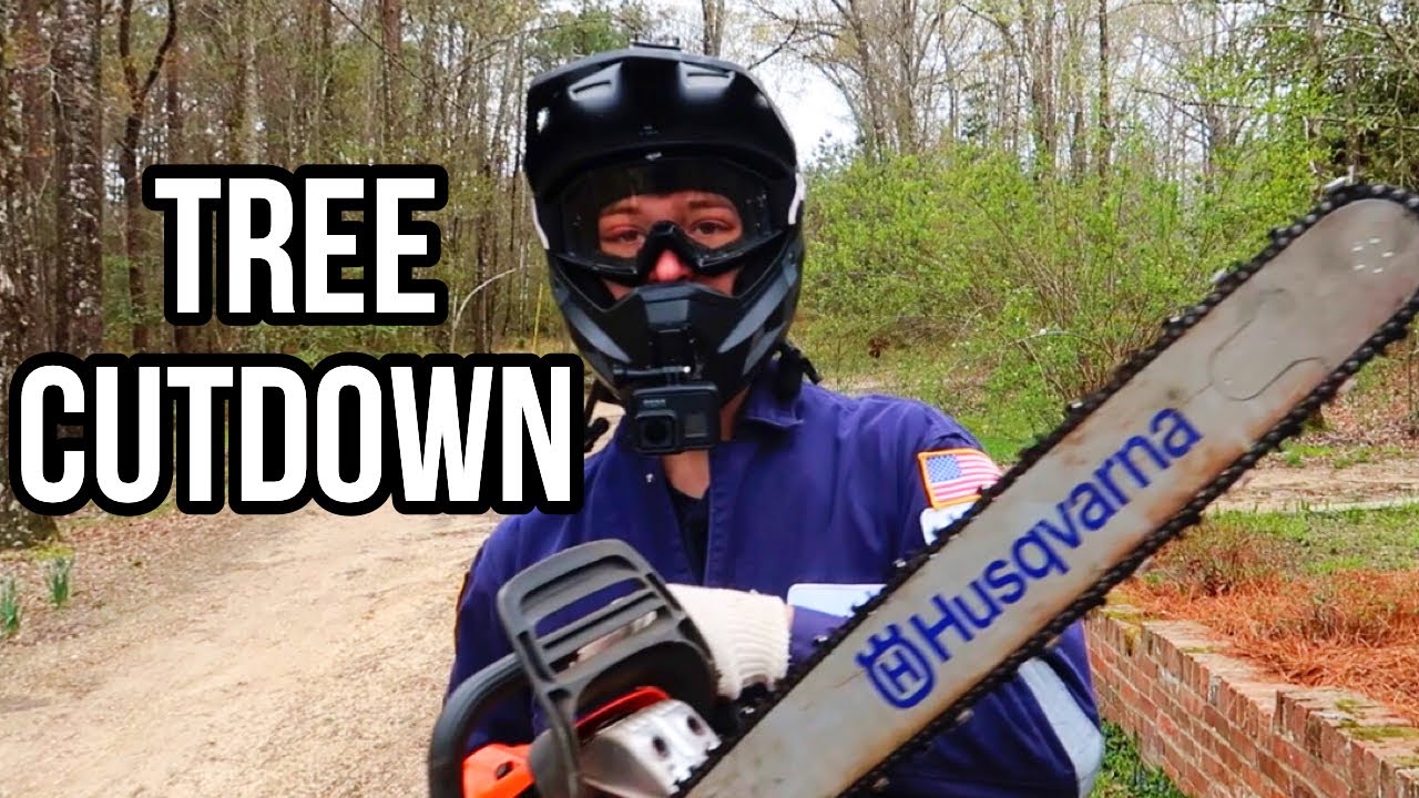 Cutting Down a MASSIVE Tree! - YouTube