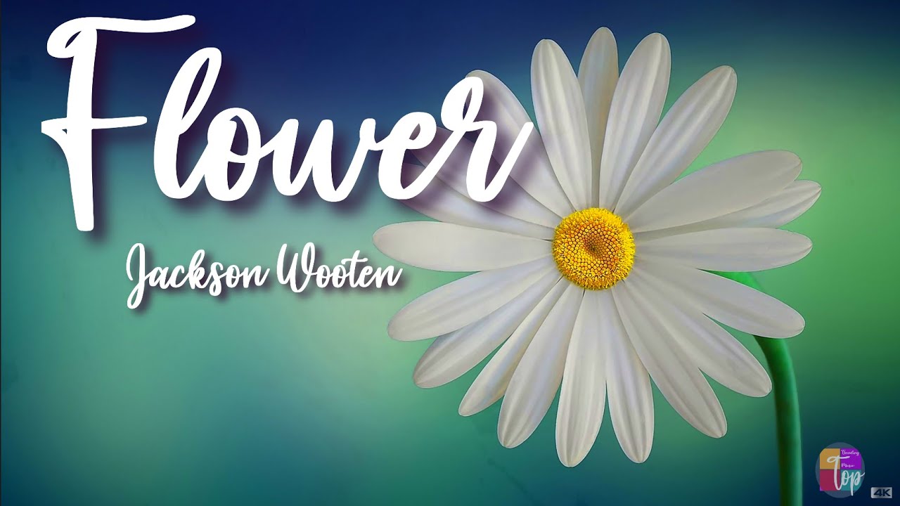 Flower - Jackson Wooten - YouTube