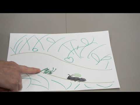 09/18 Fingerprint Fairy Tales with Miss Rebecca: The Grasshopper and ...