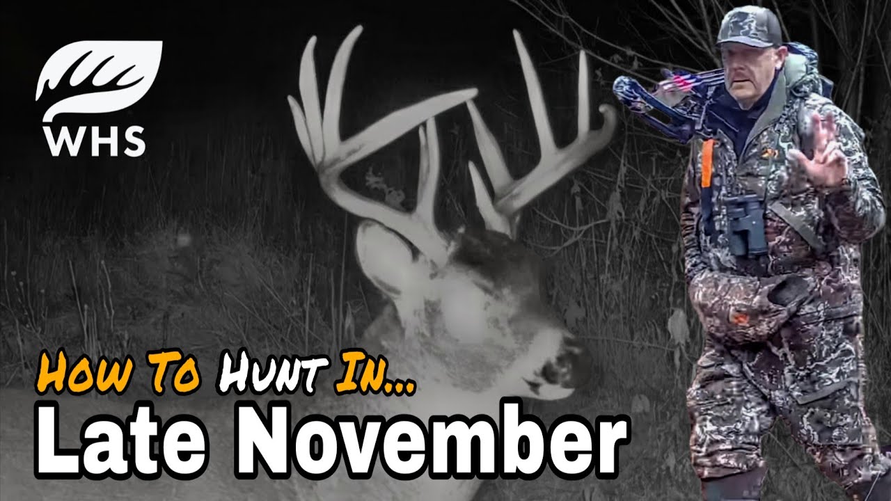 Late November Hunting Tactics - YouTube