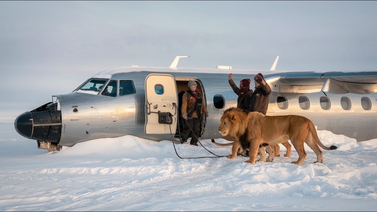 They Found a Frozen Plane in the Arctic... What Was Inside Left ...
