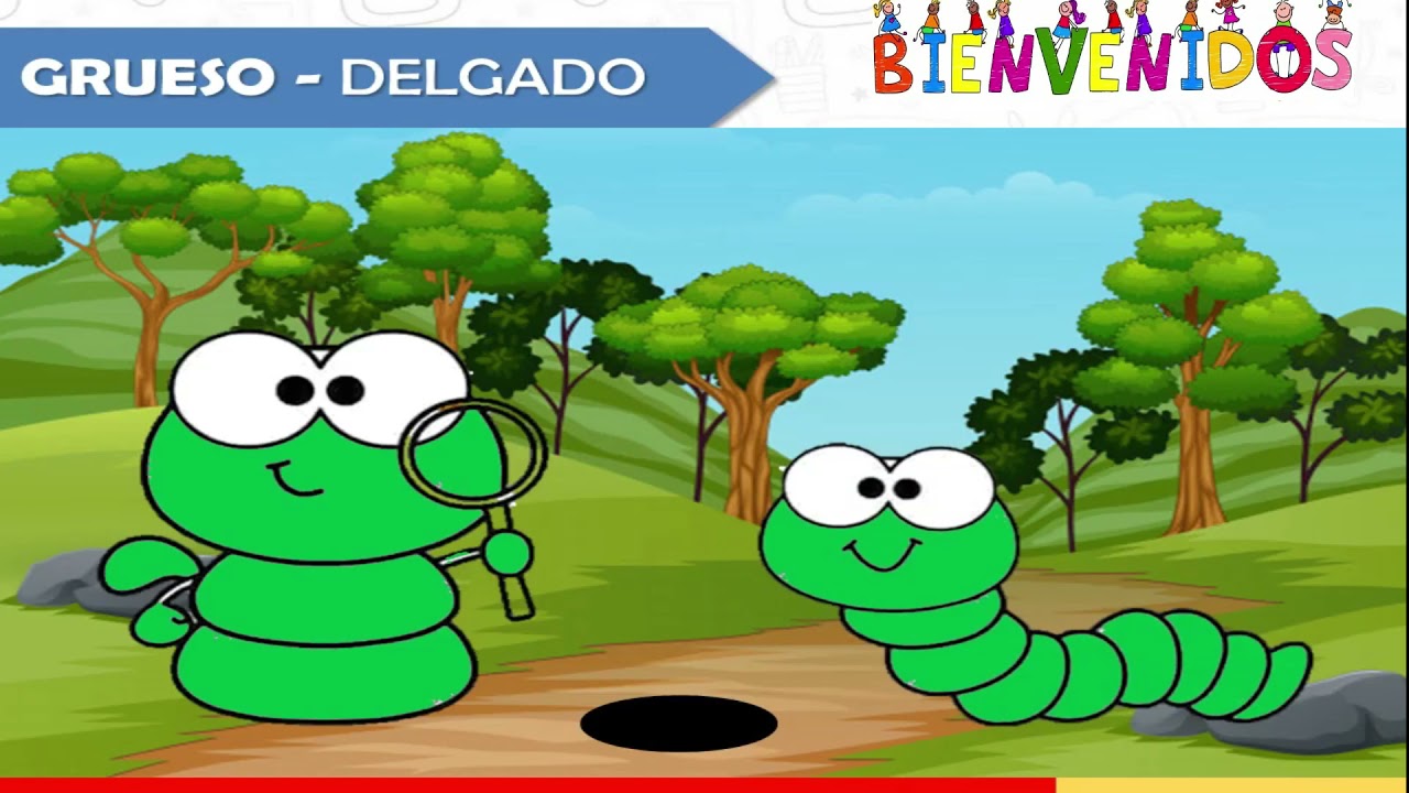 TEMA: ANCHO Y ANGOSTO - GRUESO Y DELGADO, MATEMÁTICA - INICIAL 5 AÑOS ...