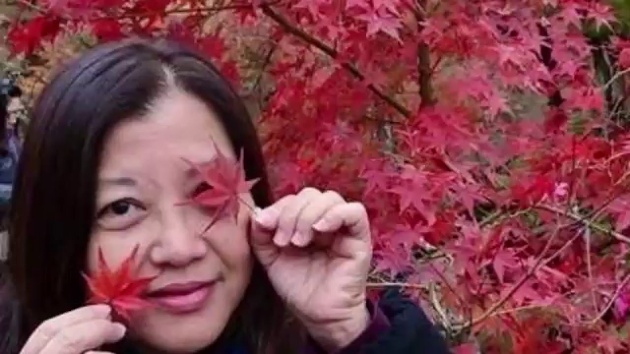 Our Trips In 2015 YouTube our-trips-in-2015-youtube