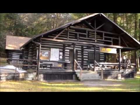 Hiking to the Forest Cathedral at Cook's Forest State Park - YouTube