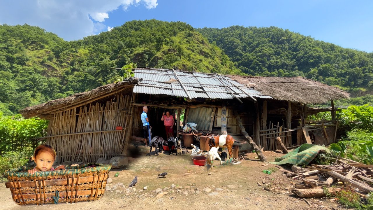 Rural Life in Nepal | Spectacular Footage of the East Nepal Countryside ...