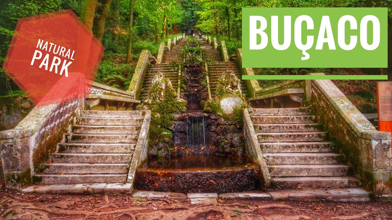 Palace and Gardens | Buçaco | Portugal - YouTube