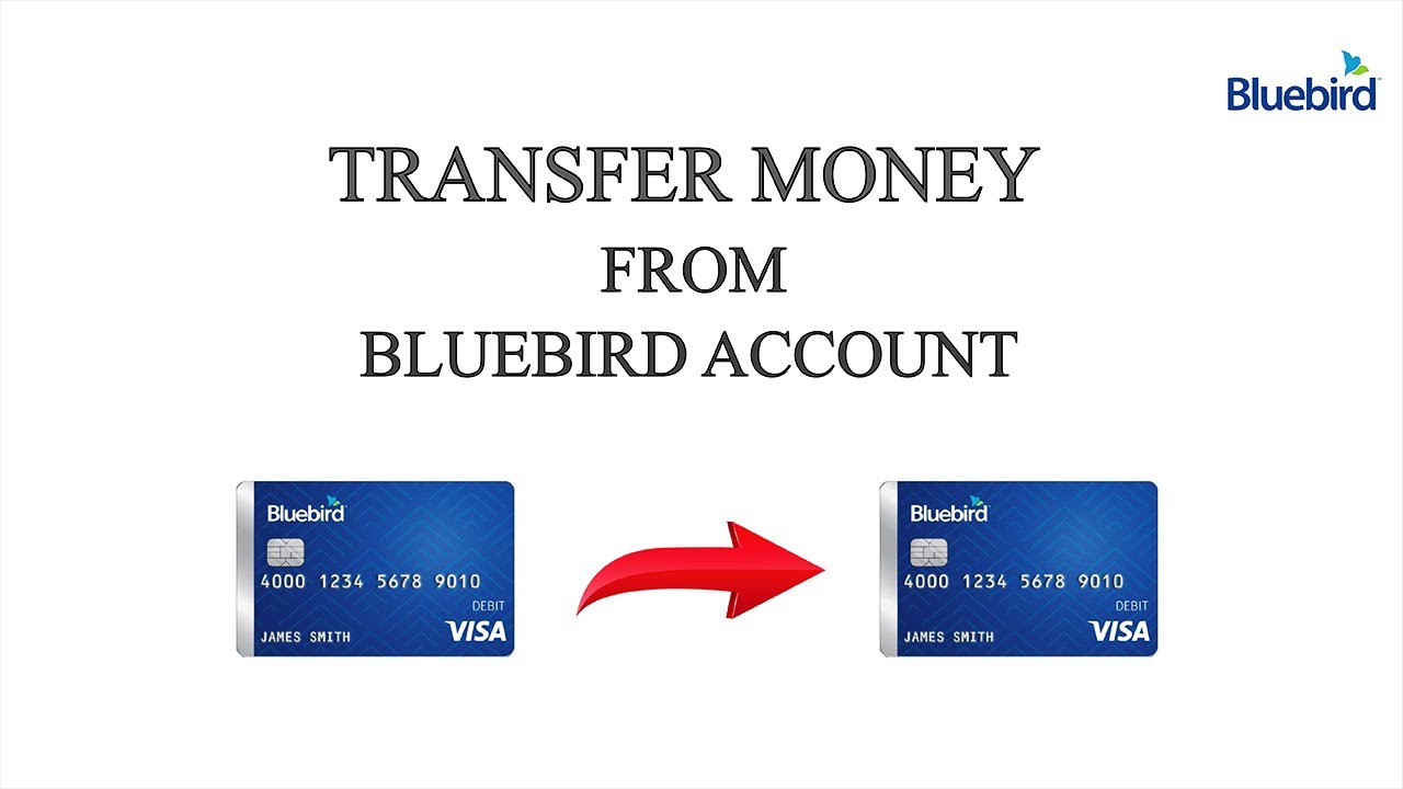 How to Transfer Bluebird Dollar to Another Bluebird Account? - YouTube