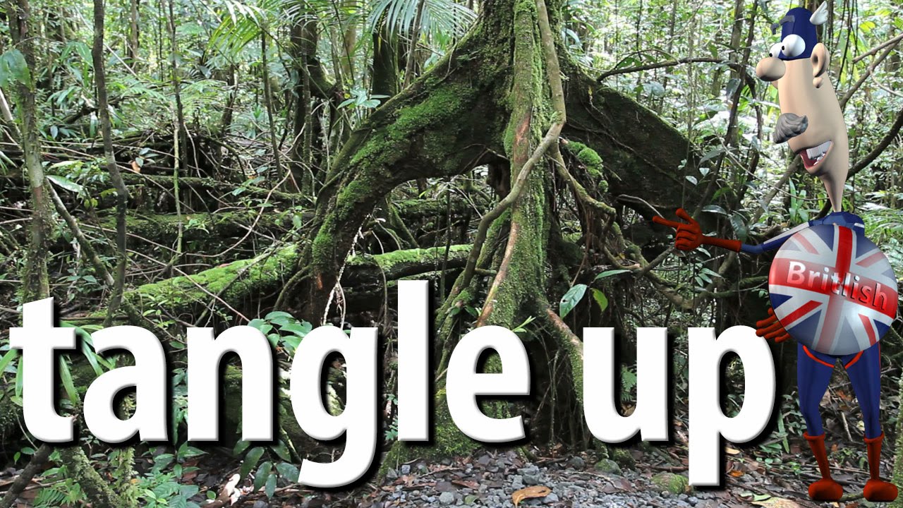 Tangle Up | Phrasal Verbs | Learn English - YouTube
