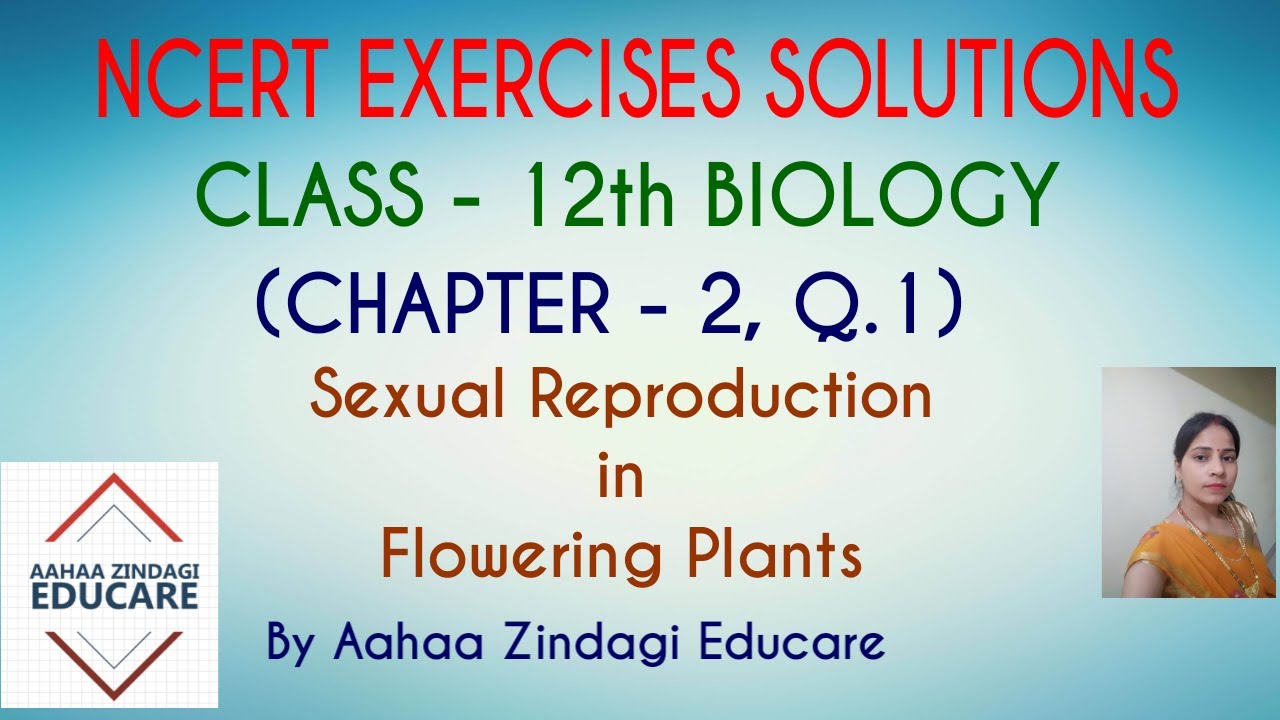 NCERT EXERCISES SOLUTIONS CLASS 12 BIOLOGY chapter-2 (Sexual ...