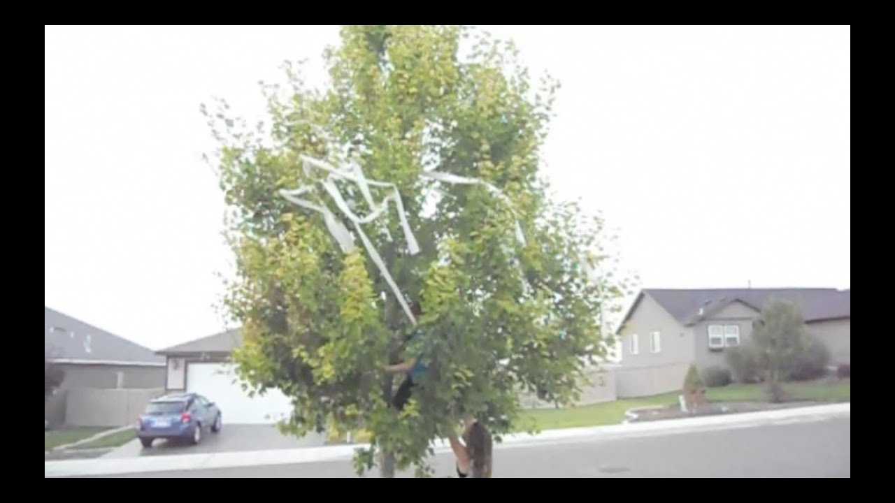 SOMEONE TPD OUR HOUSE - YouTube