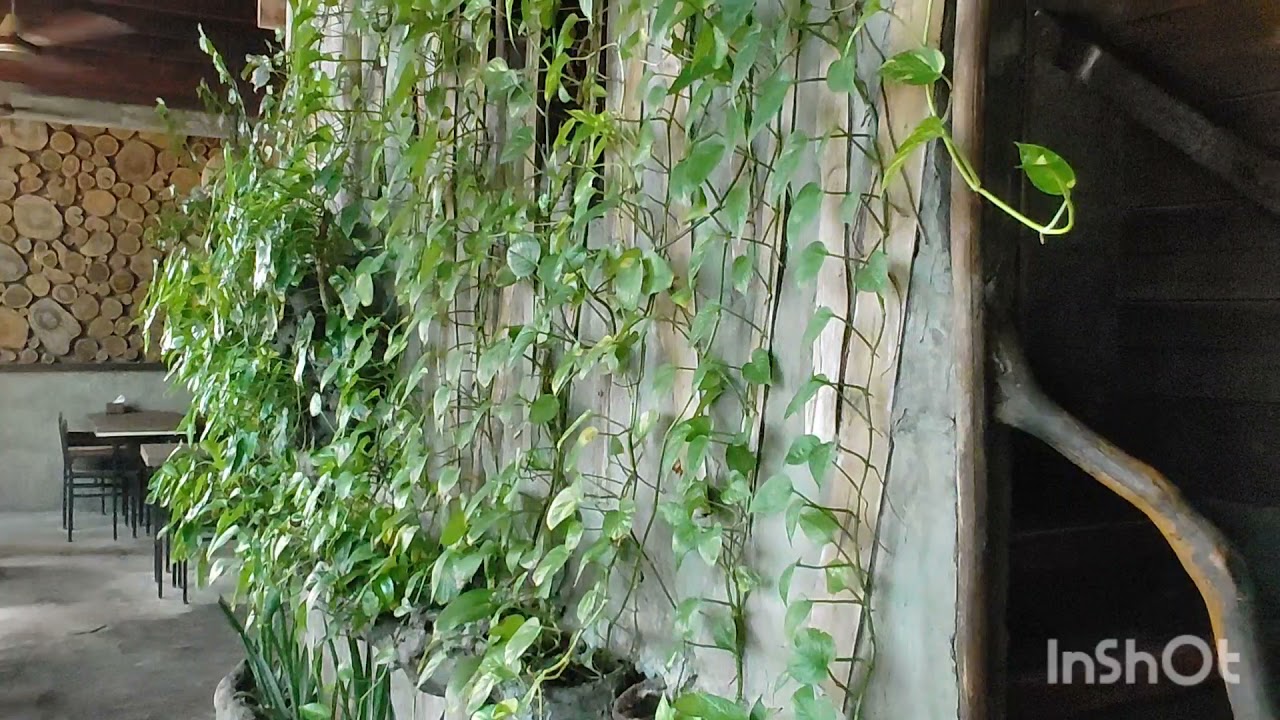 Maldives Kothu Roshi - YouTube