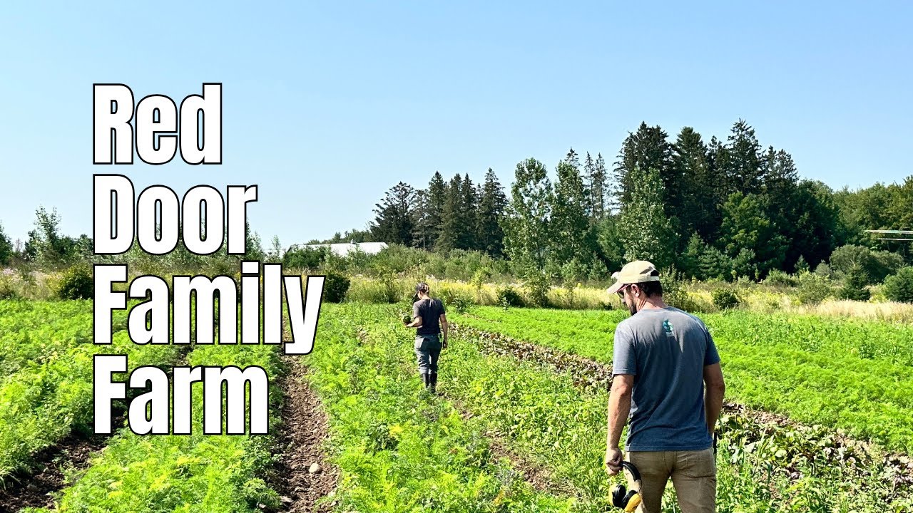Red Door Family Farm Full Interview - YouTube