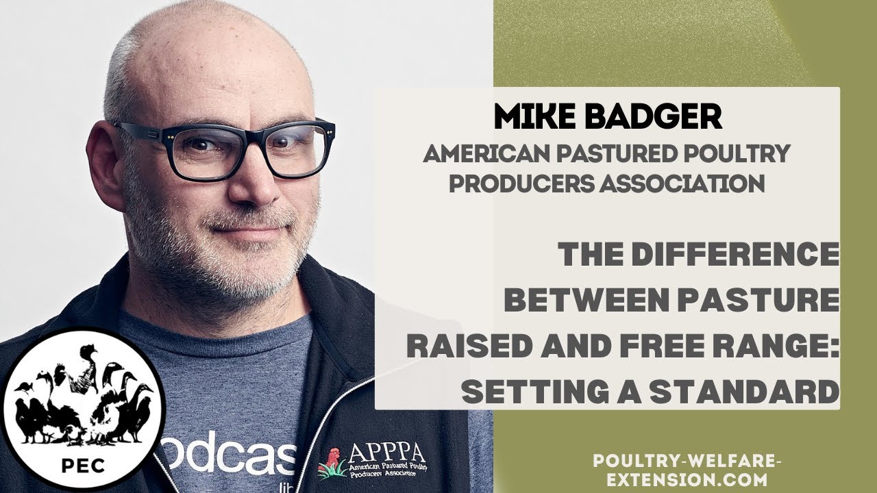 Mike Badger - The difference between pasture-raised and free range ...