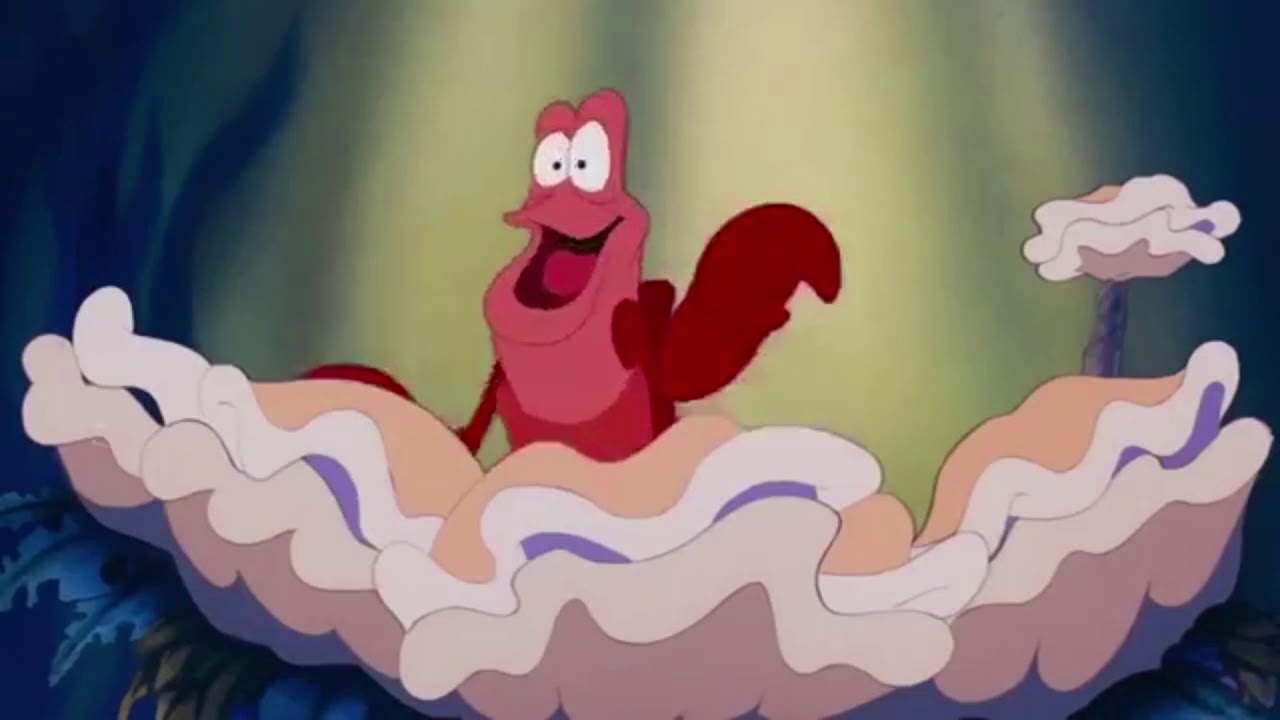 101 Wild Animals (TV Show) intro - YouTube